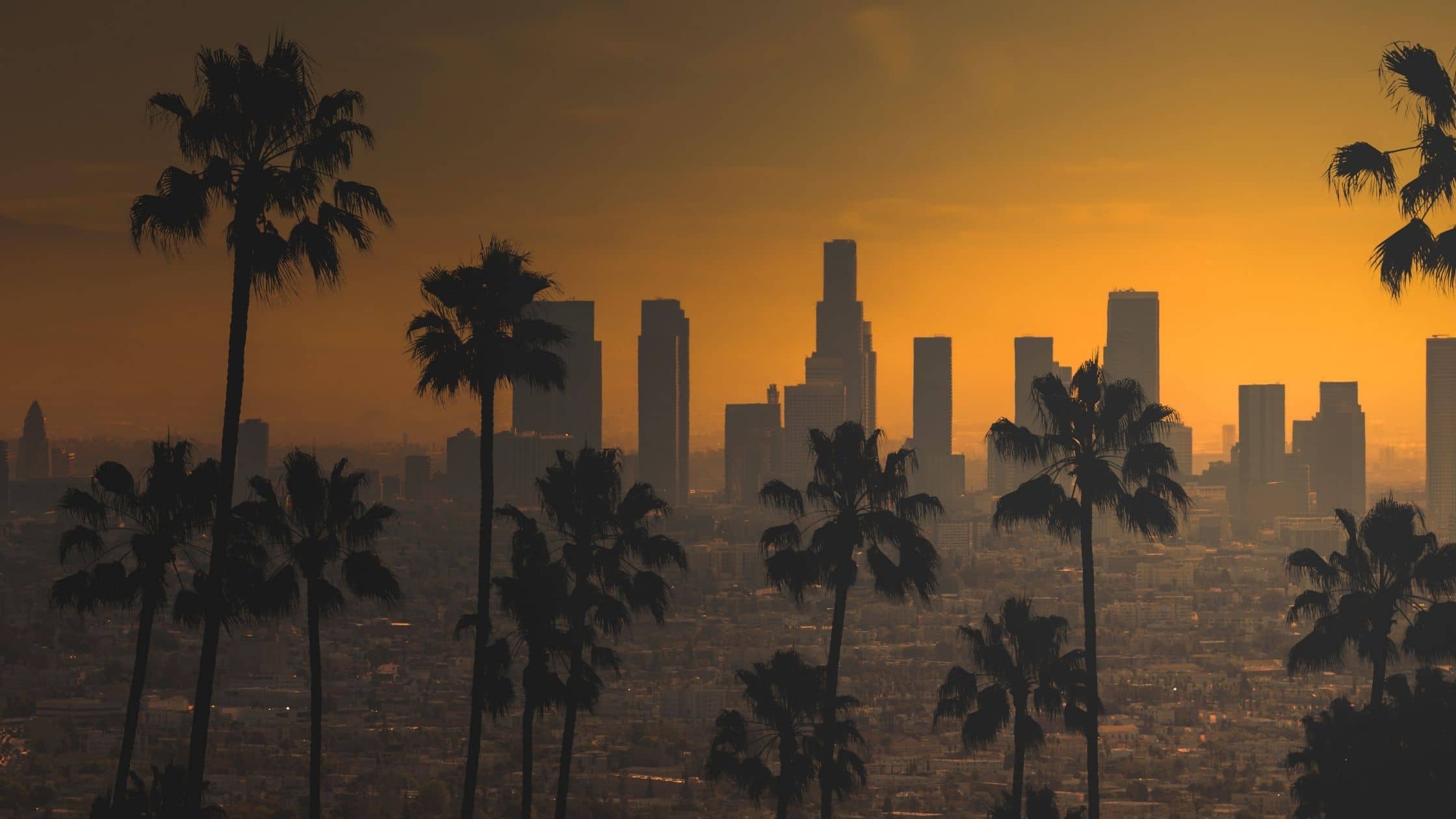 Weed Rules In Los Angeles: Everything You Need To Know - Budderweeds